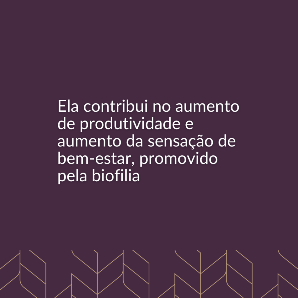Escolher um empreendimento de madeira é a melhor opção? – Tymber